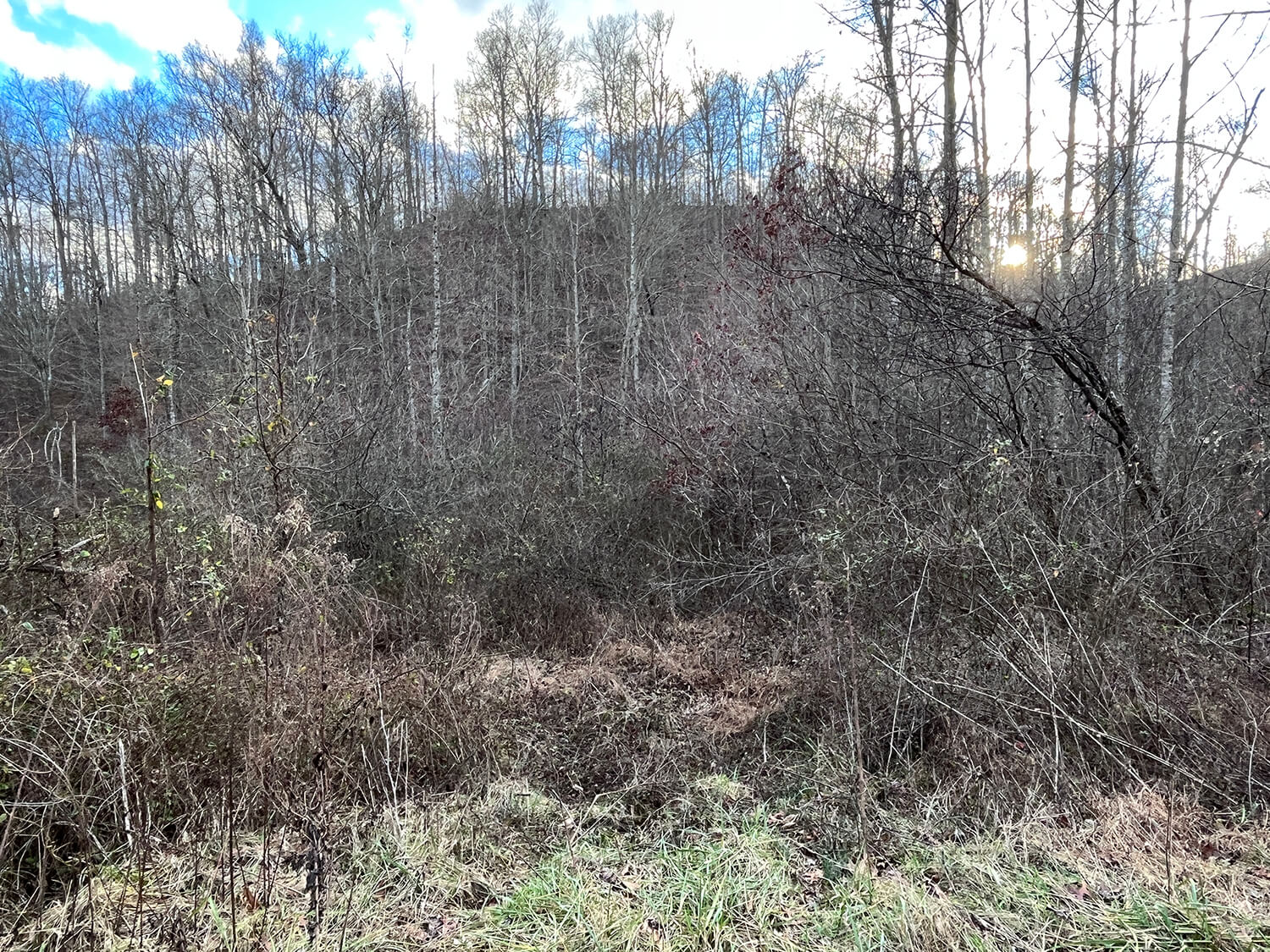 Mountain View Farms – Tract #53 – 12.1483 Acres - DG Schell Land Company