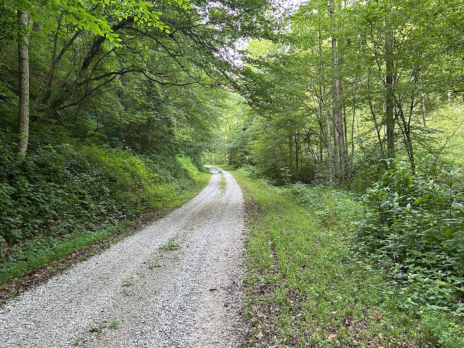 Land Properties for Sale - DG Schell Land Company